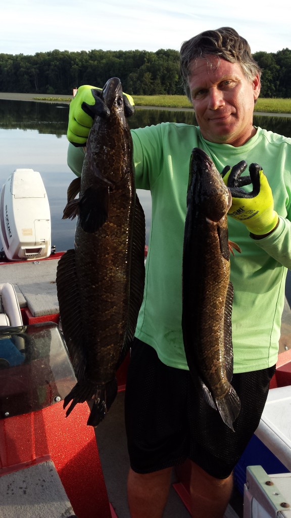 Washington DC fishing | SnakeHead Fishing