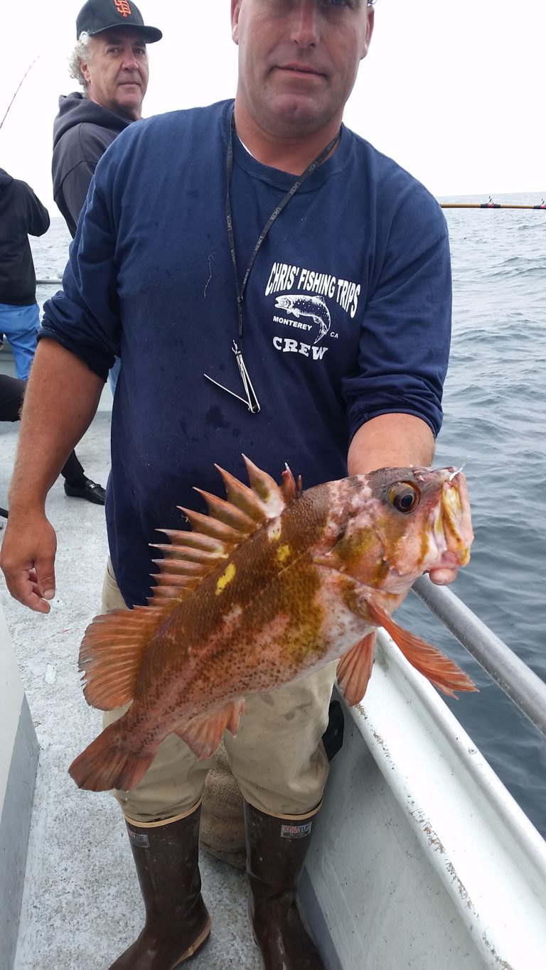 Rock Cod Fishing off Monterey Bay | SnakeHead Fishing
