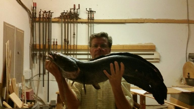 NEW WORLD RECORD NORTHERN SNAKEHEAD! | SnakeHead Fishing